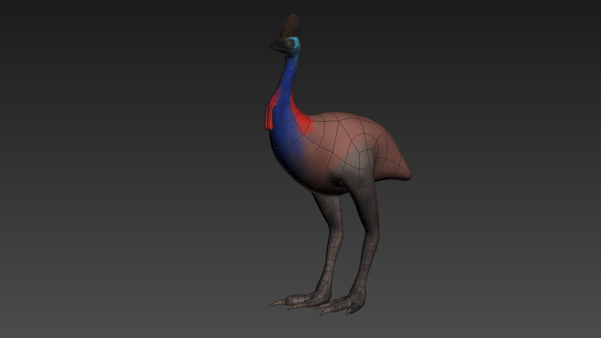 3d Model Rigged Cassowary Bird Animation