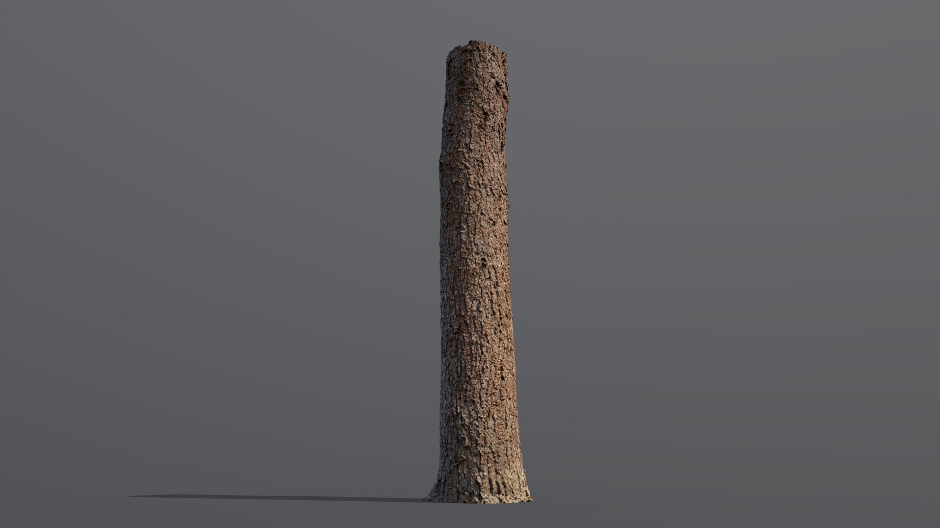 Subalpine Fir Trunk Scan PBR 8K 3D - TurboSquid 2303110