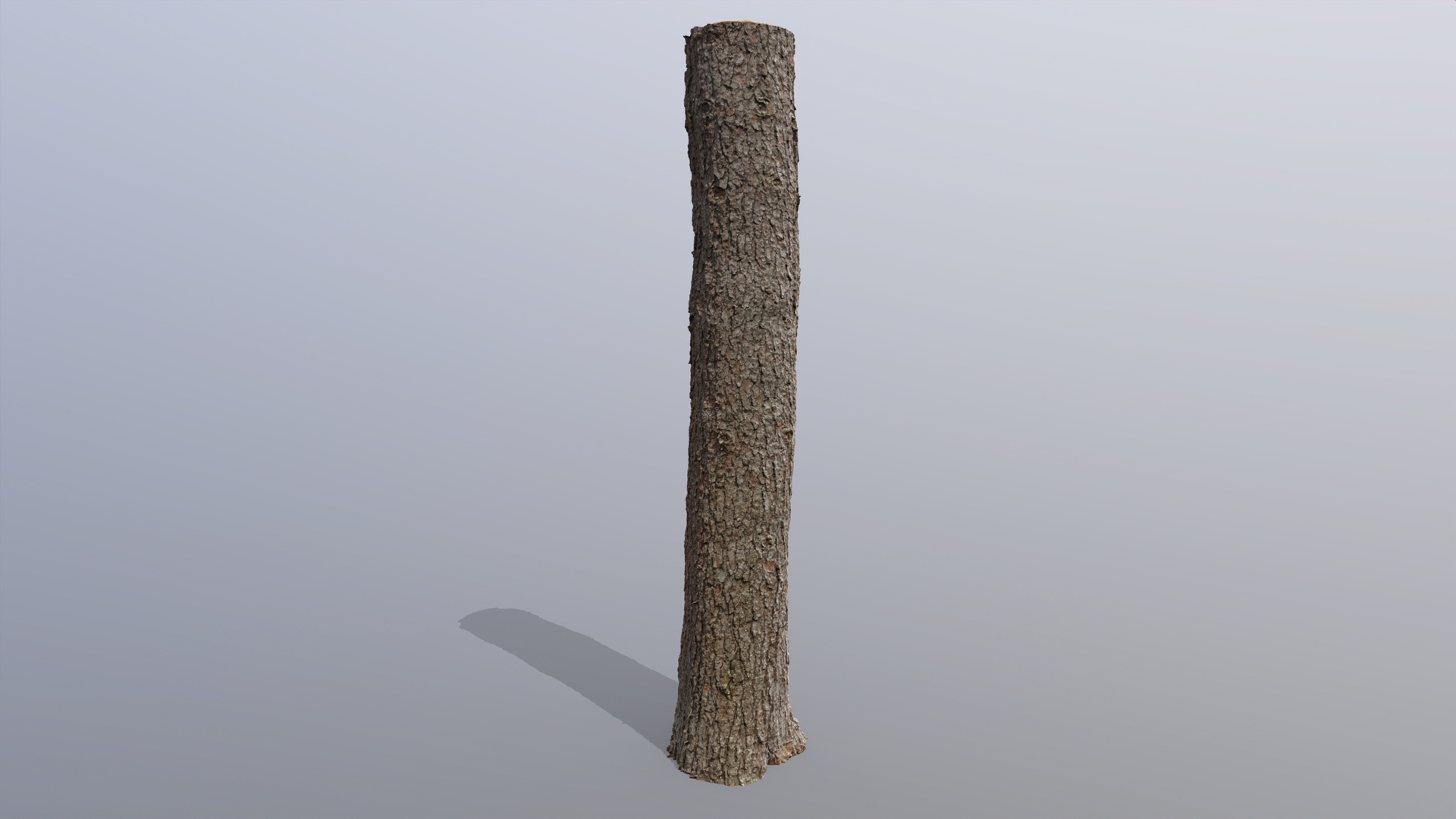 Subalpine Fir Trunk Scan PBR 8K 3D - TurboSquid 2303110