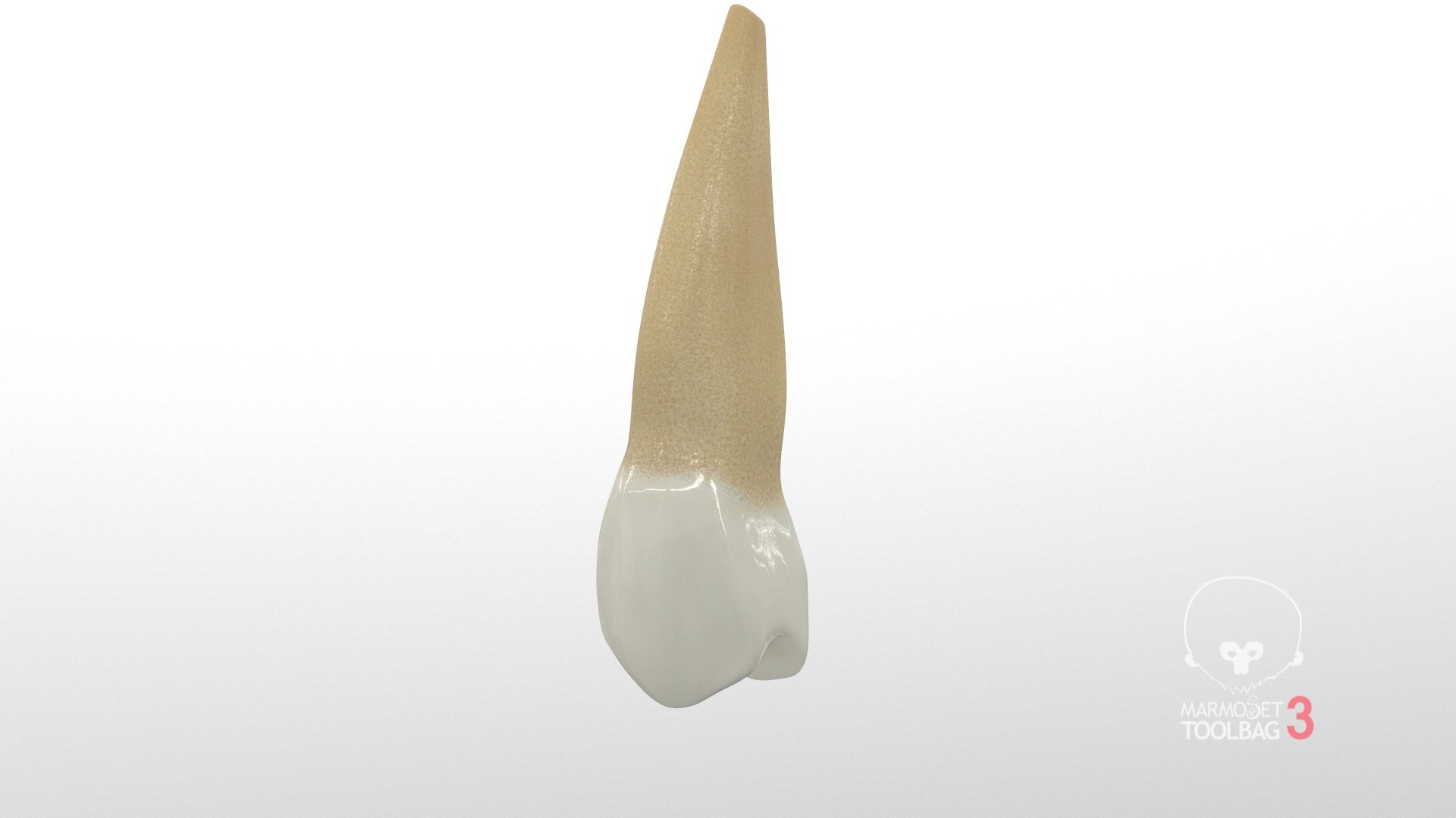 3D human teeth upper second - TurboSquid 1518339