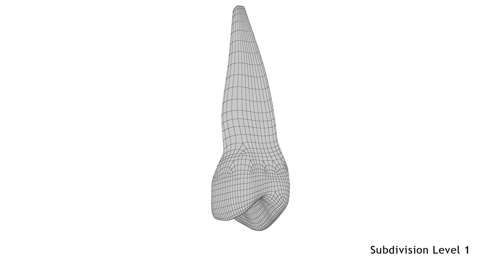 3D human teeth upper second - TurboSquid 1518339