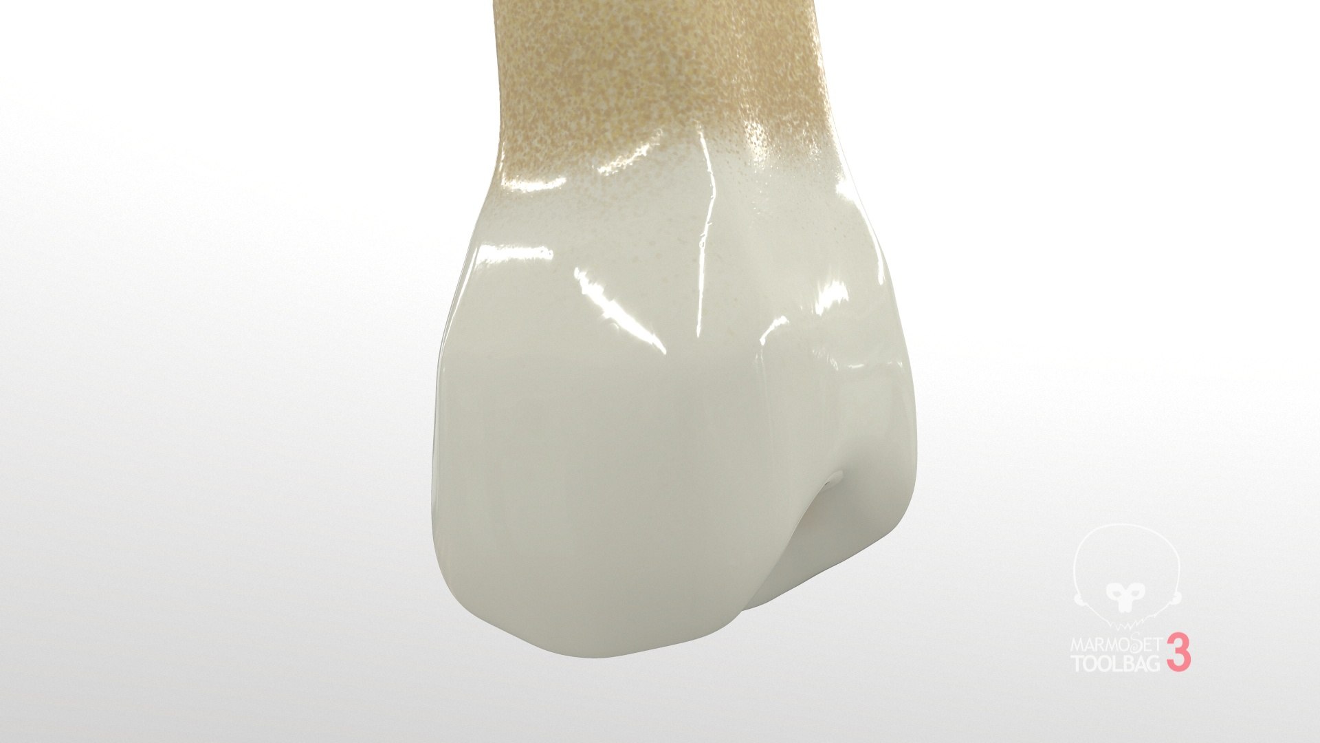 3D human teeth upper second - TurboSquid 1518339