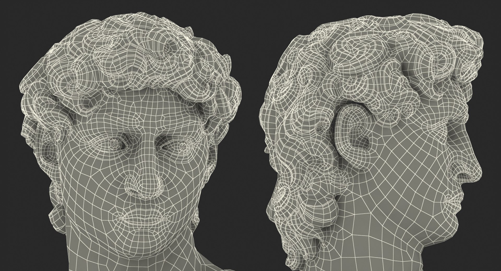 Bust david michelangelo 3D model - TurboSquid 1349395