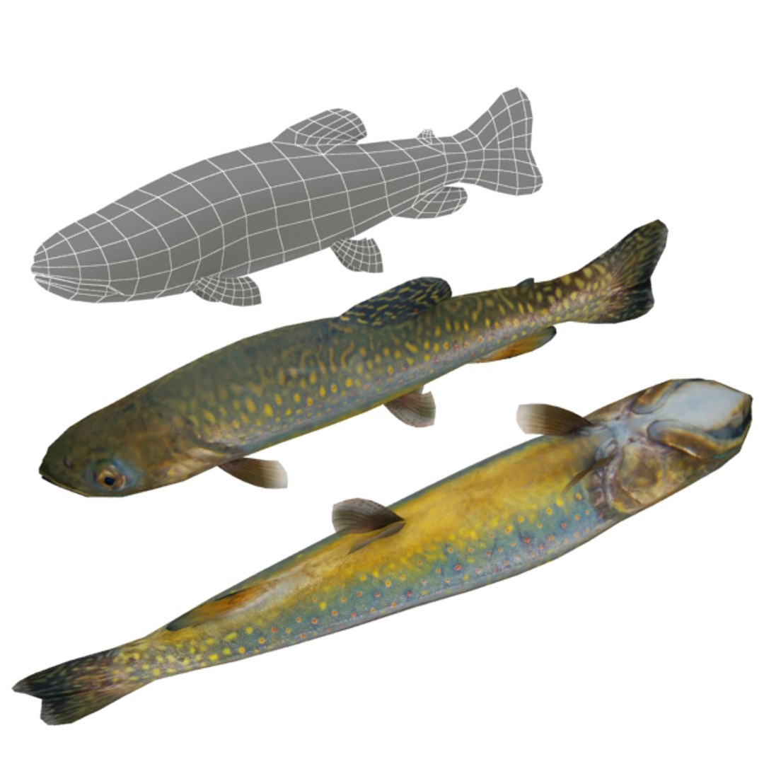 Trout Modelled 3d Model