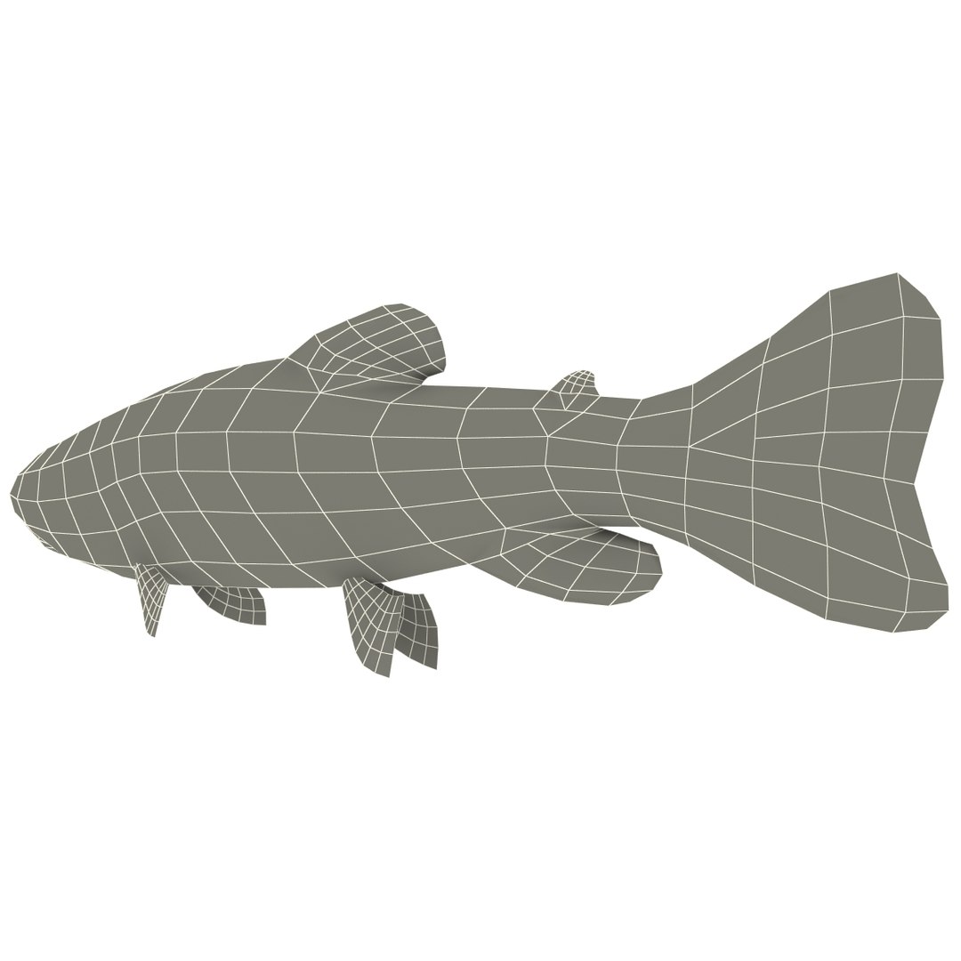 Trout Modelled 3d Model