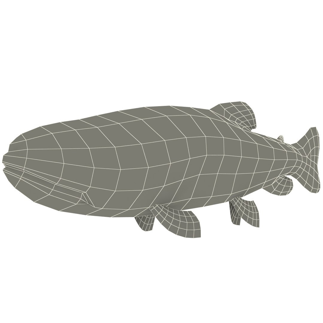 Trout Modelled 3d Model