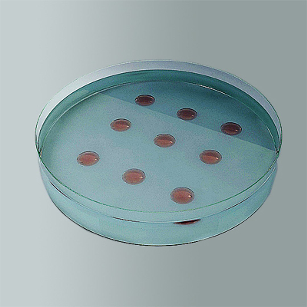 3d model medical glass sampler