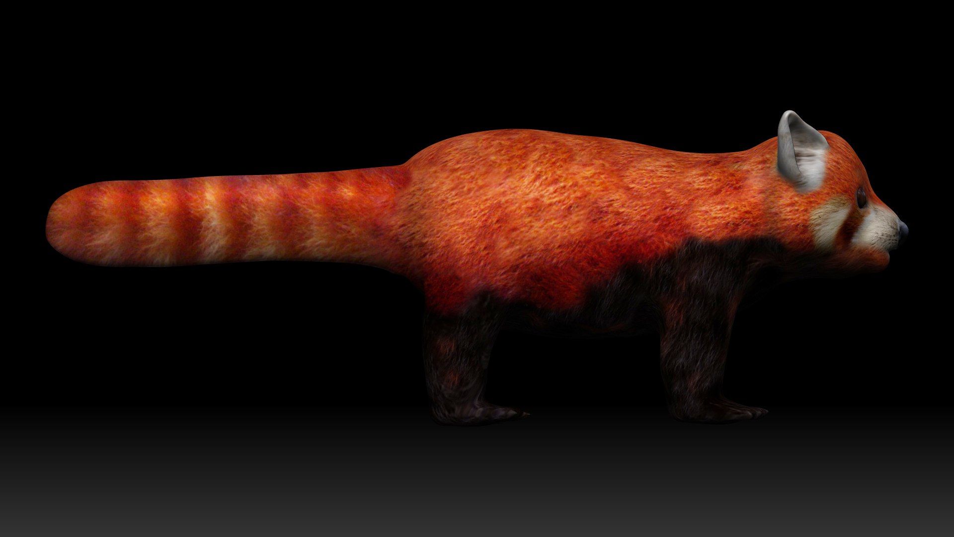 3D Red Panda - TurboSquid 1736762