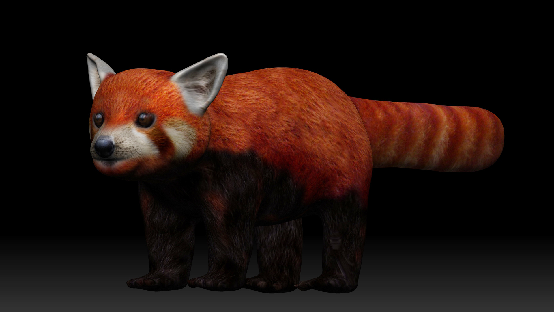 3D Red Panda - TurboSquid 1736762
