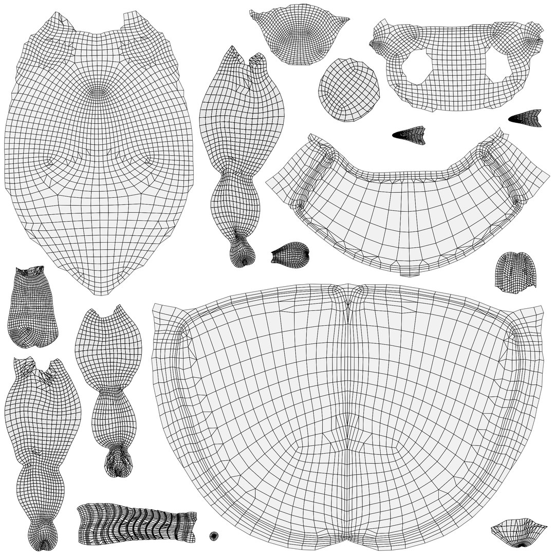 Lady Bug Insect 3D Model 3D Model - TurboSquid 2337667