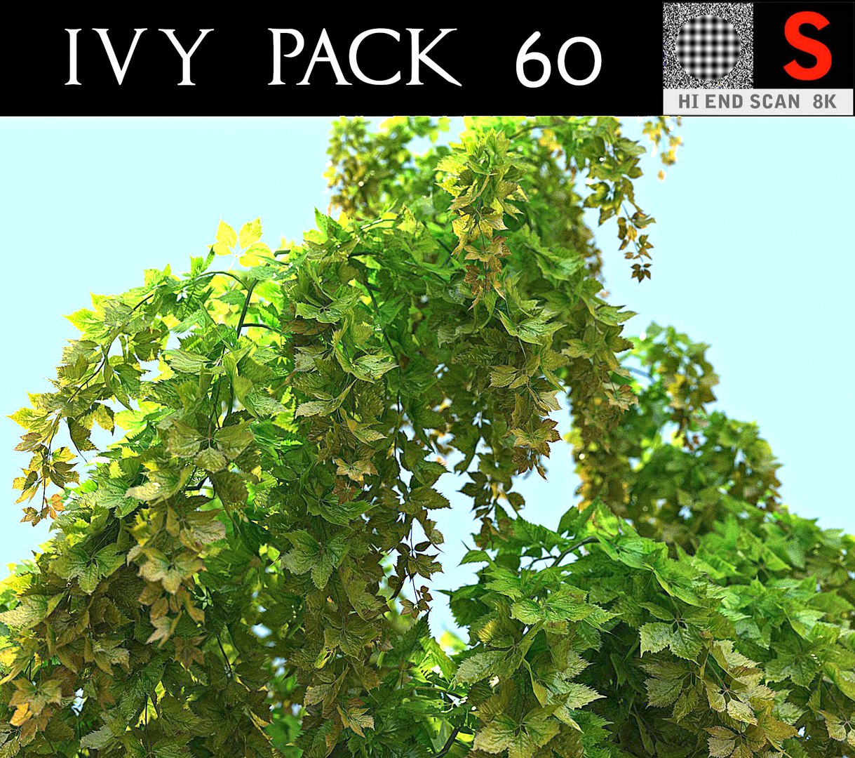 3D model ivy pack 60 - TurboSquid 1210419