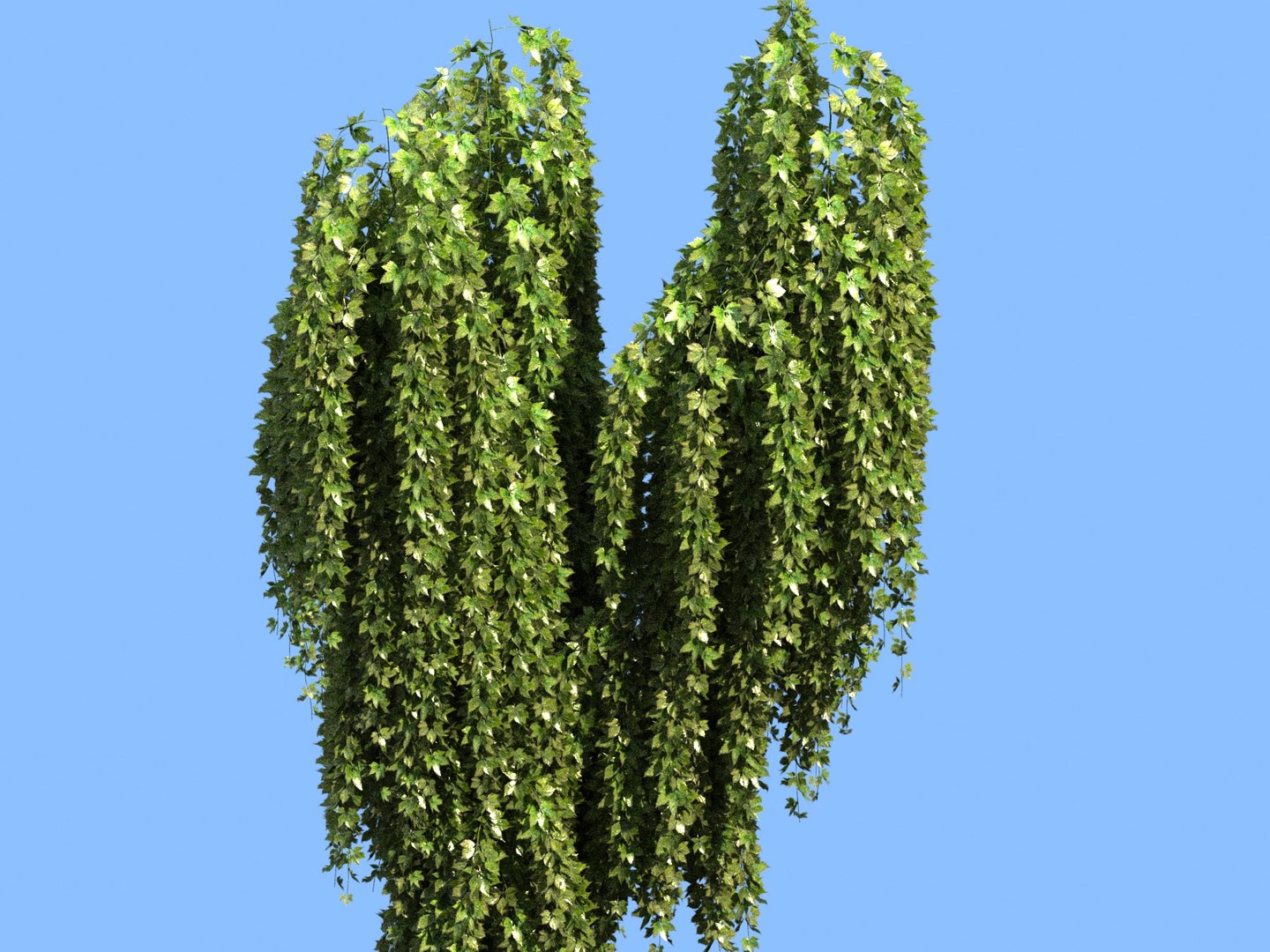 3D Model Ivy Pack 60 - TurboSquid 1210419