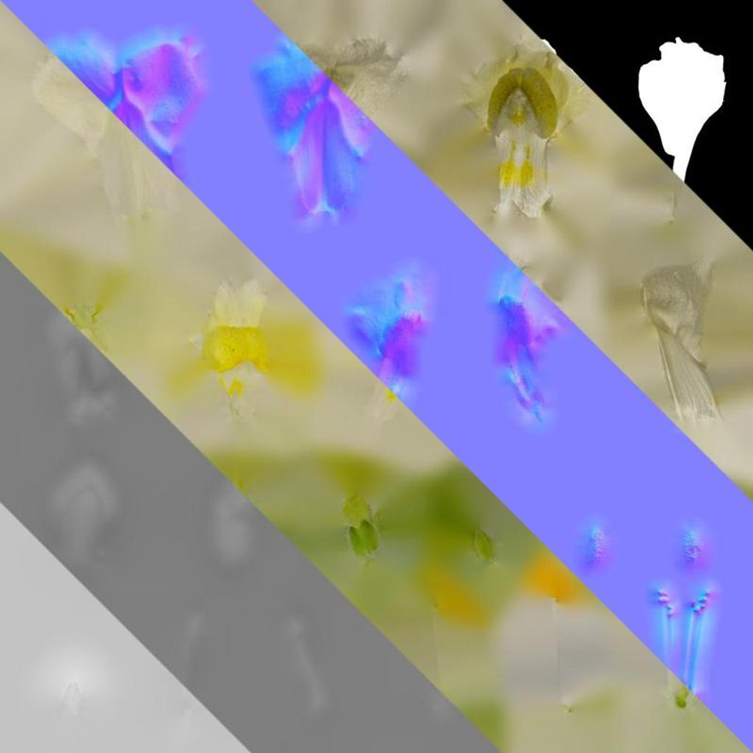 Anydrafts Antirrhinum Majus Flower 09 Textures 3D Model - TurboSquid ...