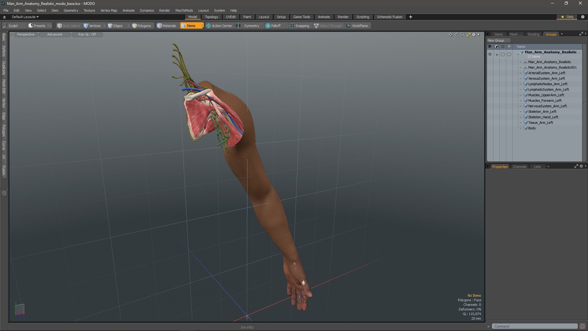 3D Model Man Arm Anatomy Realistic - TurboSquid 2286811
