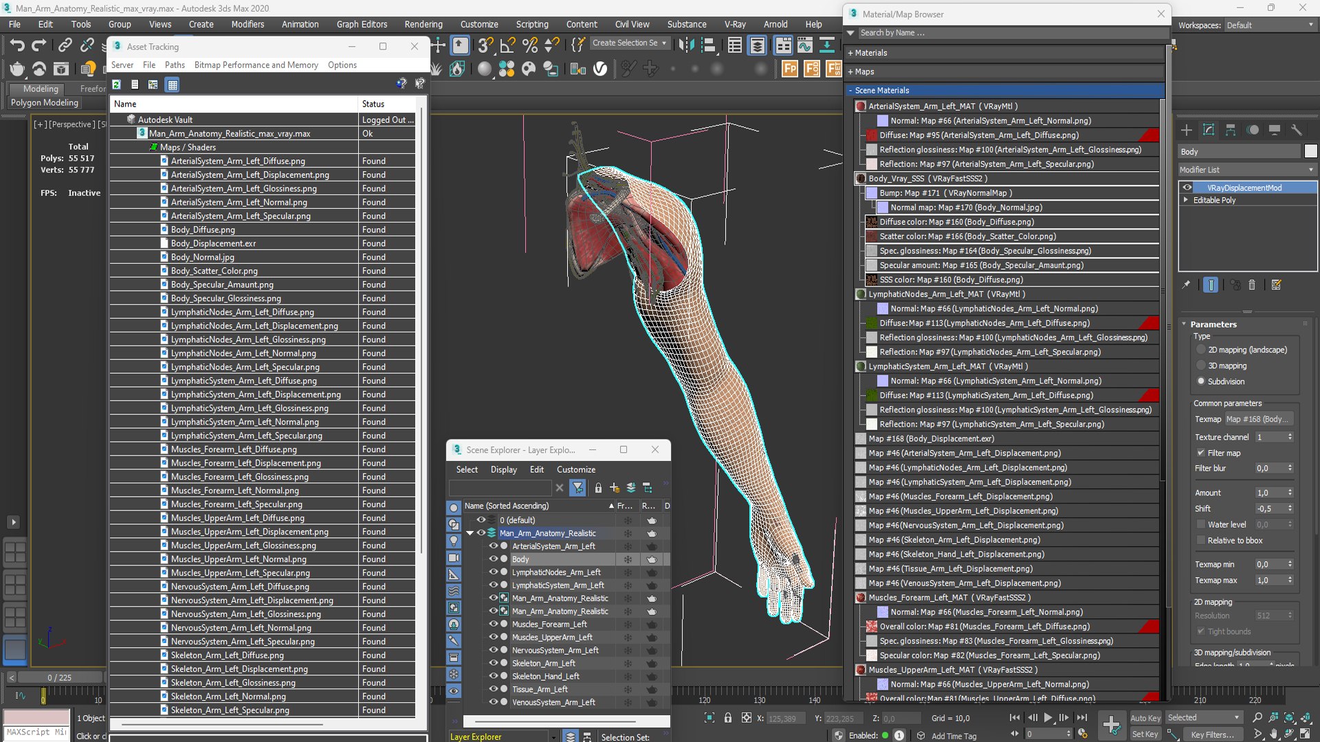 3D Model Man Arm Anatomy Realistic - TurboSquid 2286811
