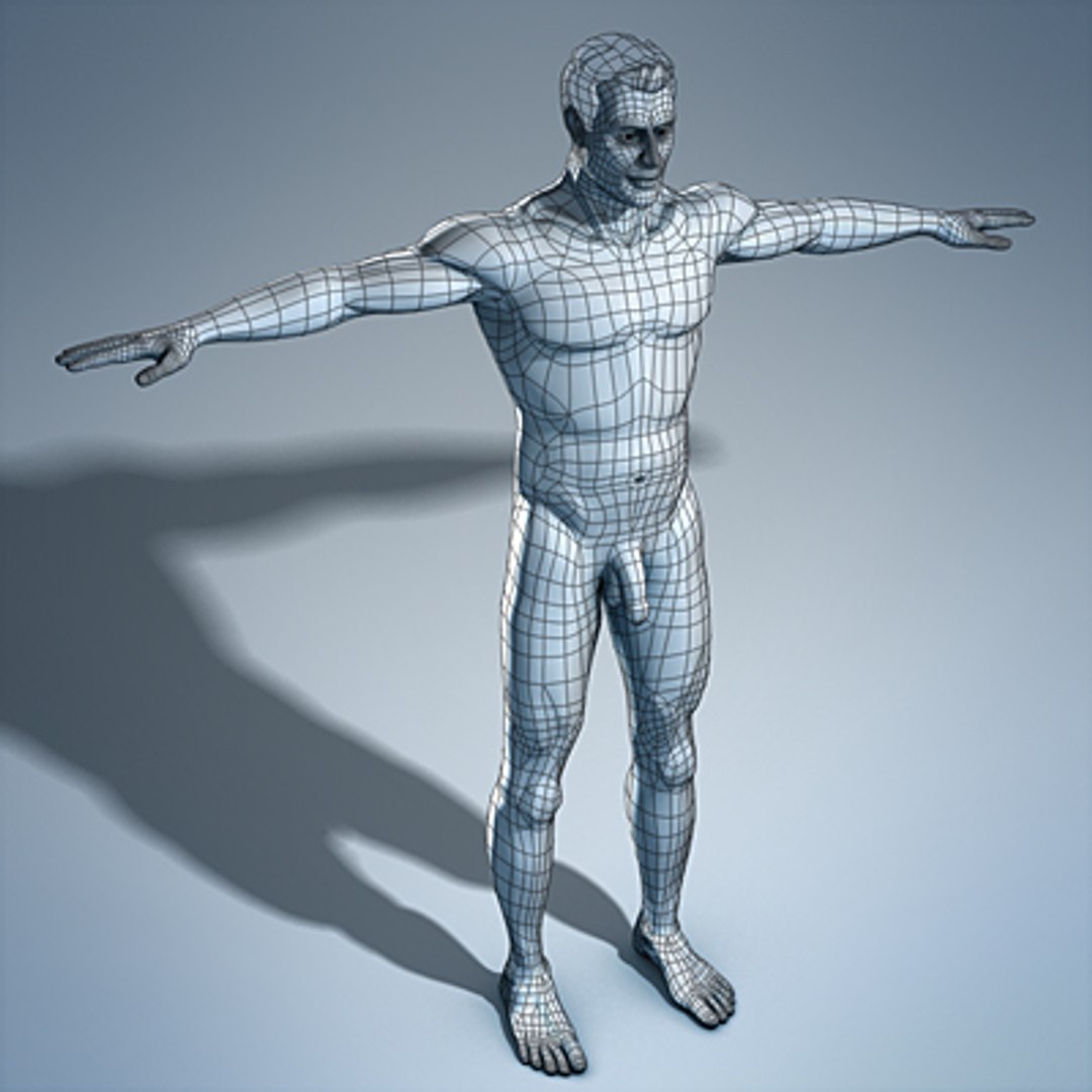 Male Human Body 3d Model