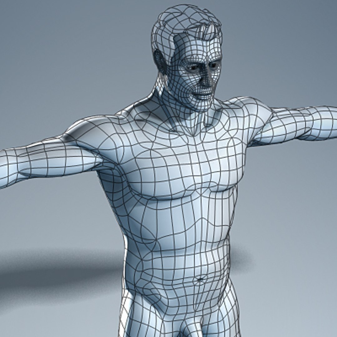 Male Human Body 3d Model