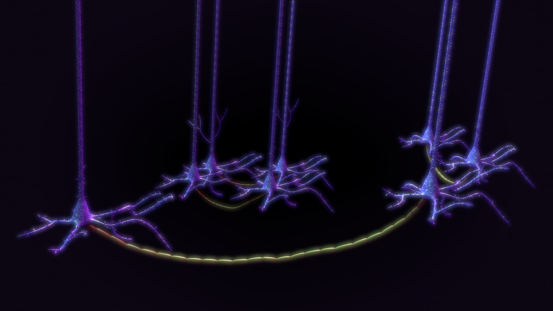 Neuron Model - TurboSquid 1050913