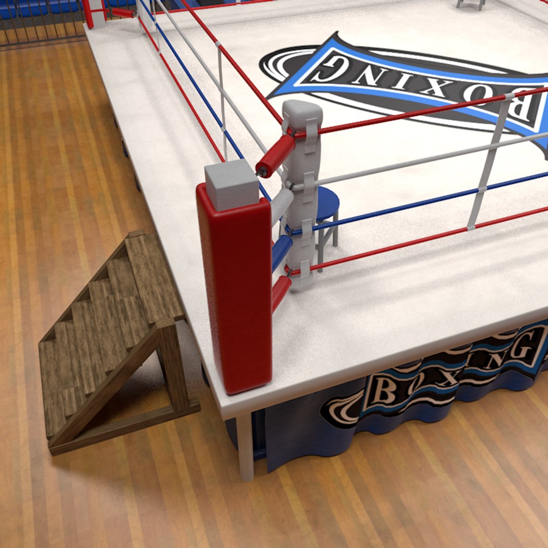 3d Model Boxing Stadium