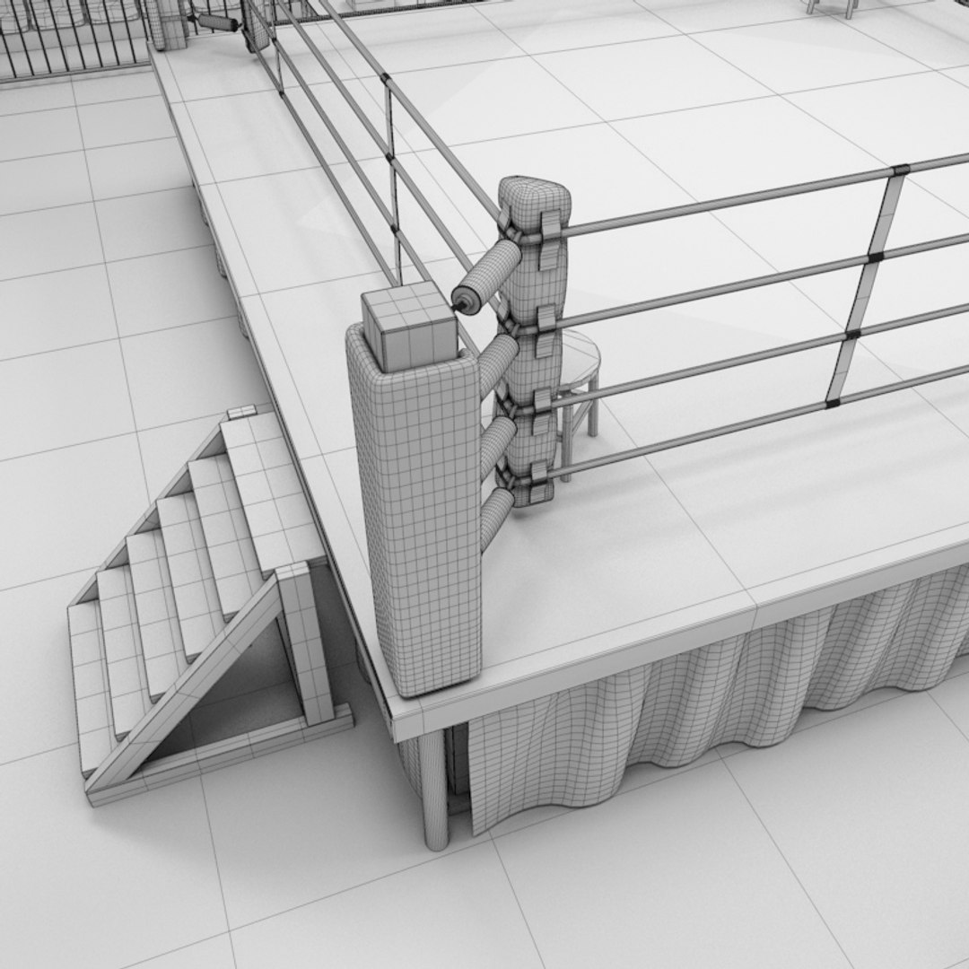 3d Model Boxing Stadium