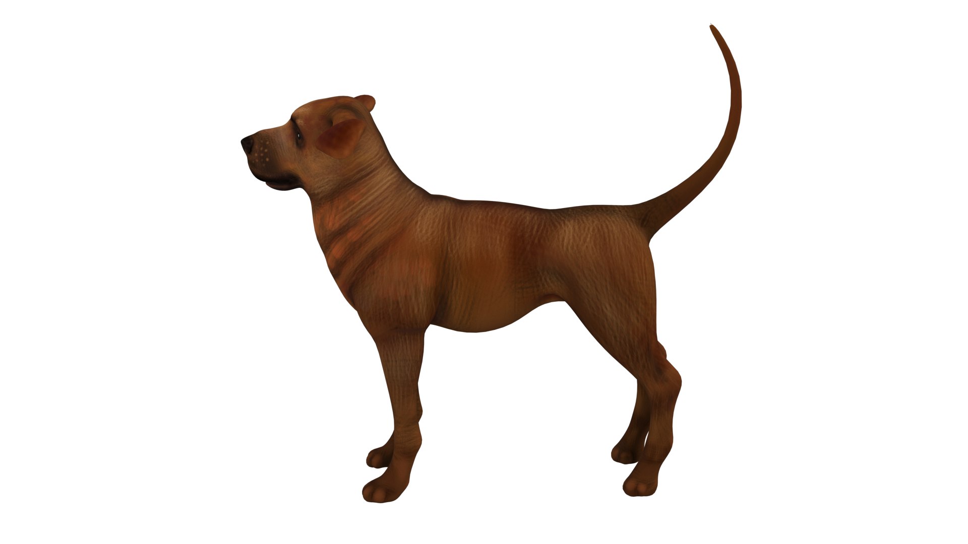 3D Dog Rig High-poly Textured Model - TurboSquid 2345352