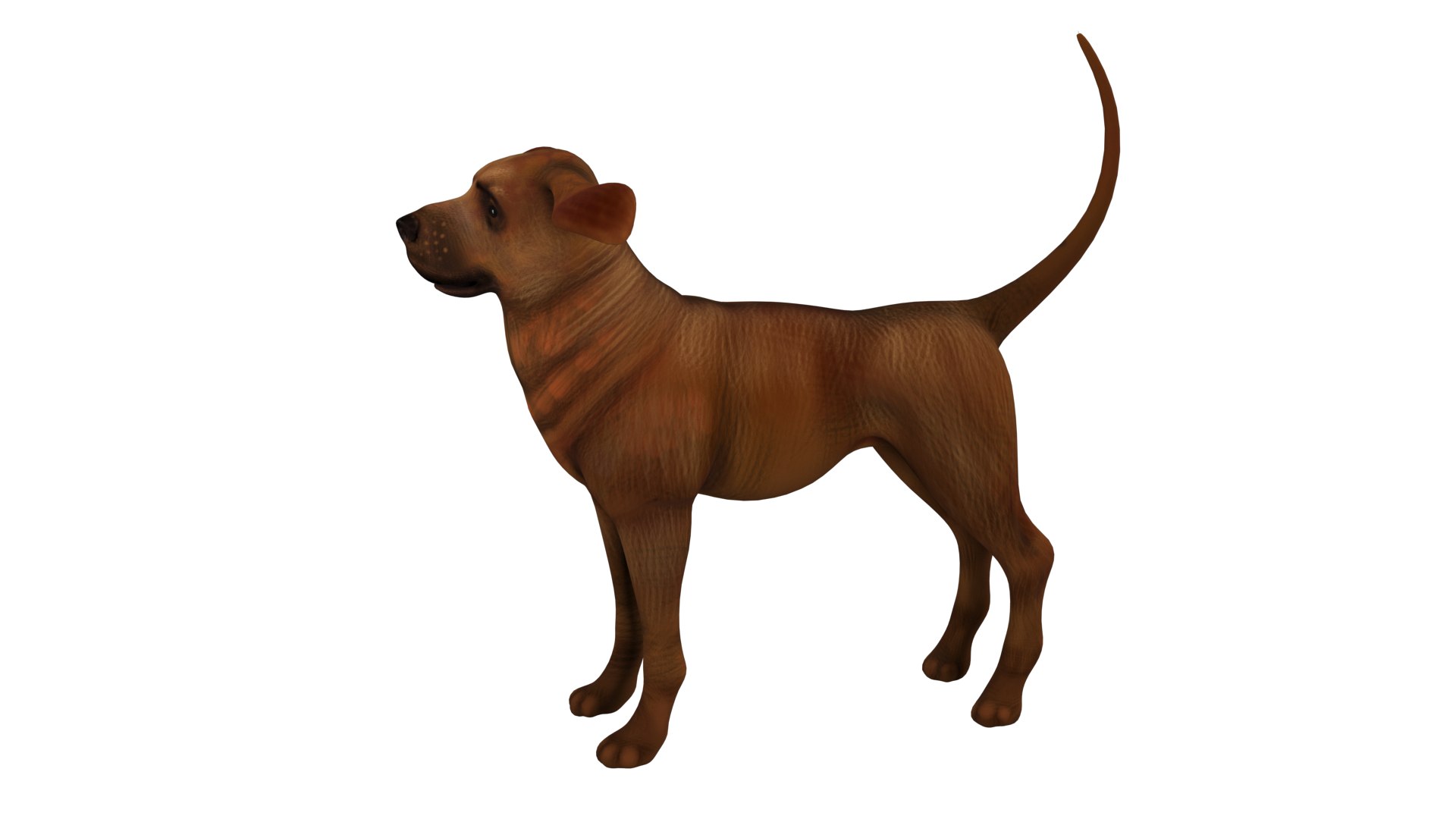 3D Dog Rig High-poly Textured Model - TurboSquid 2345352