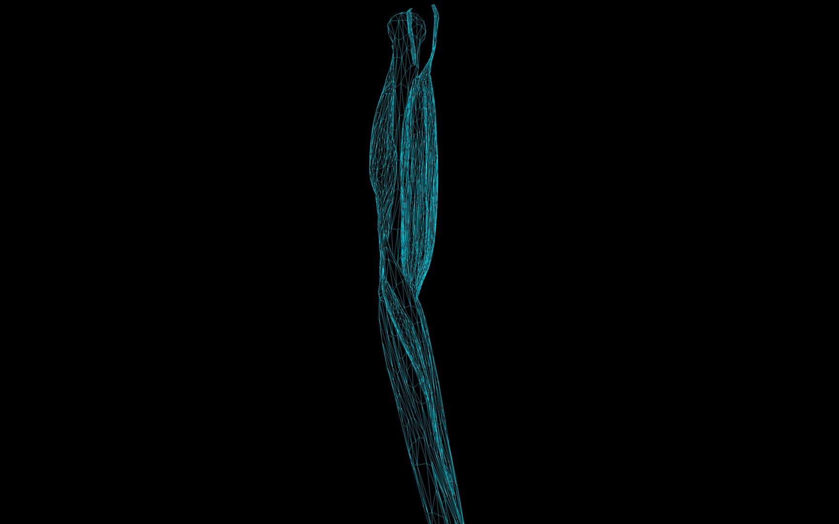 3d Medically Accurate Elbow Joint Model