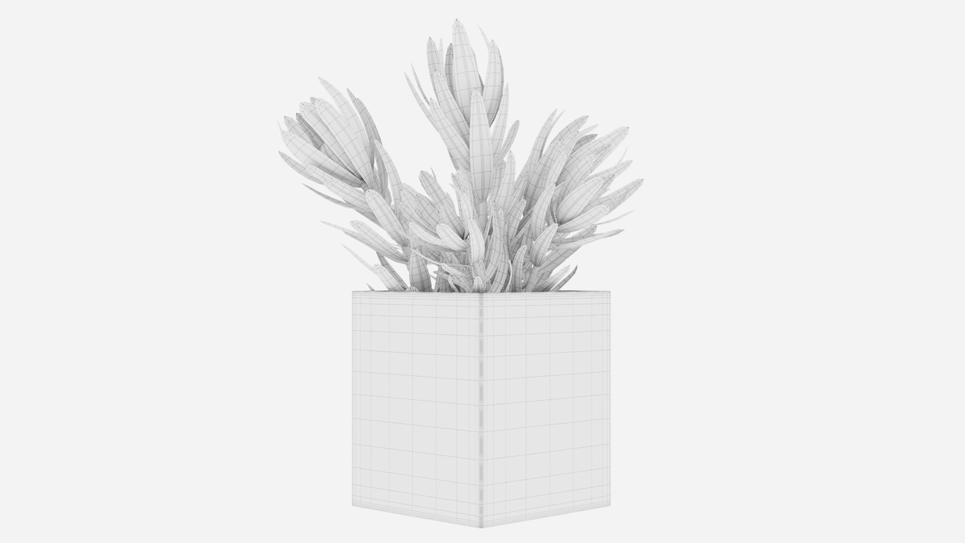 Plant 32 3D Model - TurboSquid 1999095