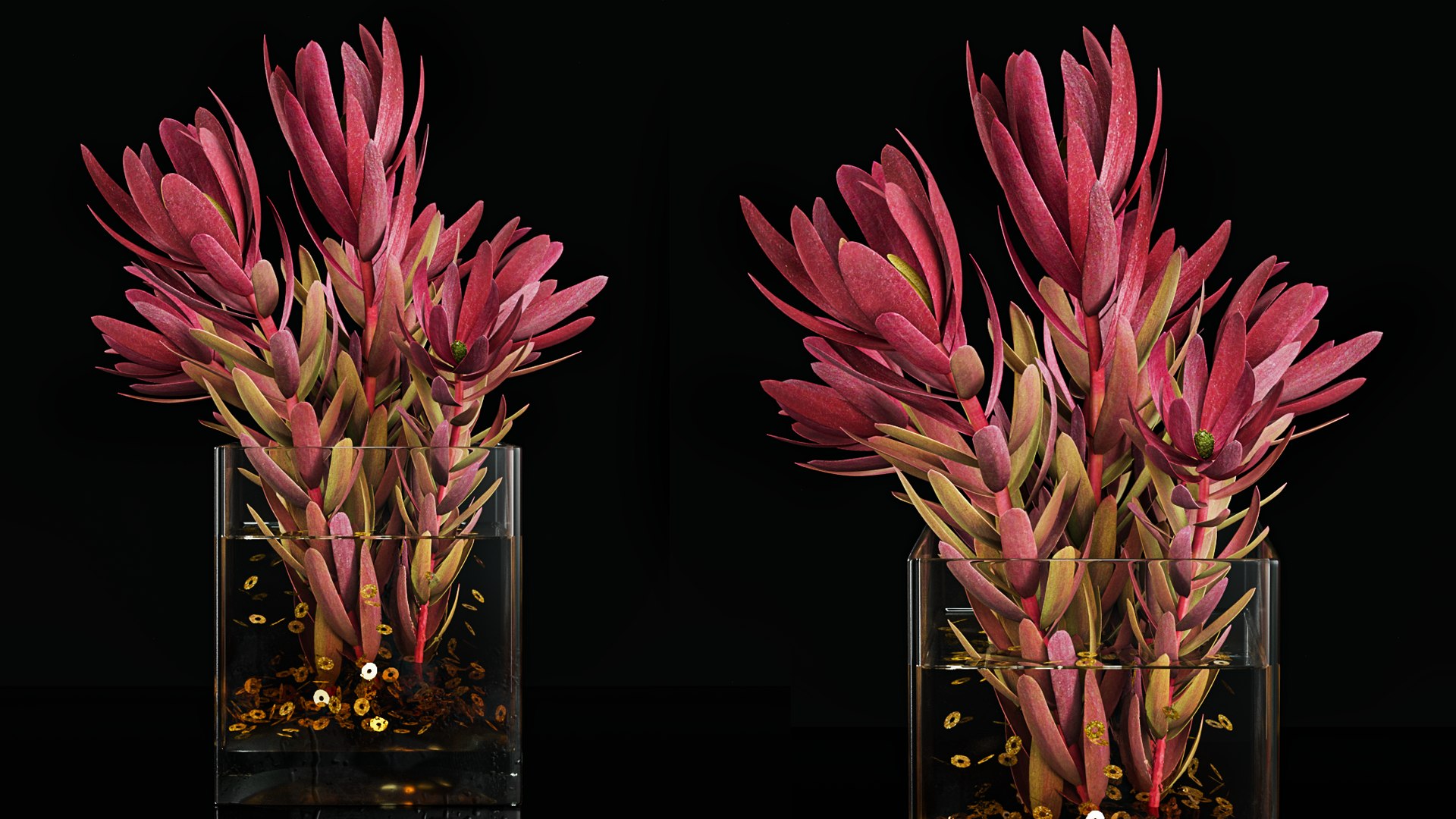 Plant 32 3D Model - TurboSquid 1999095