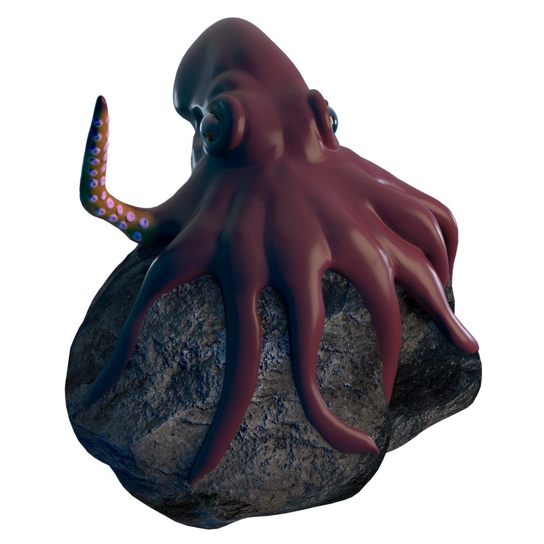 Octopus 3D Model - TurboSquid 1265331