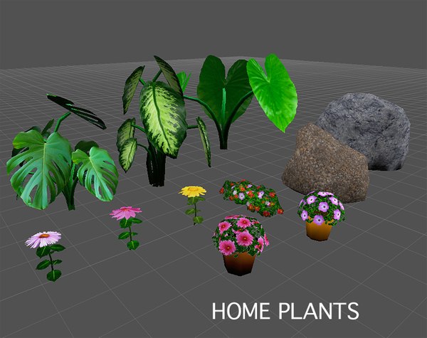 3d home fer plants