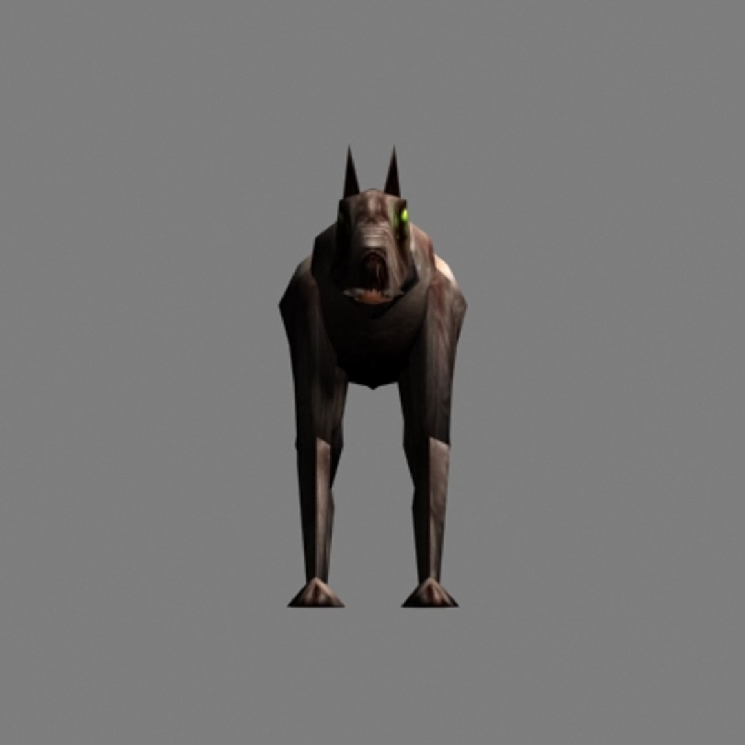 3d hound canine model