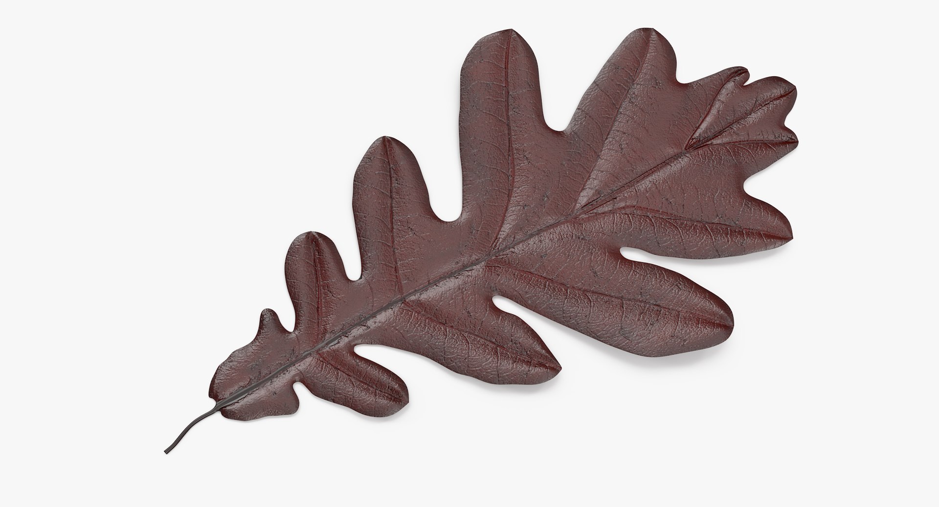 3d Red Oak Leaf