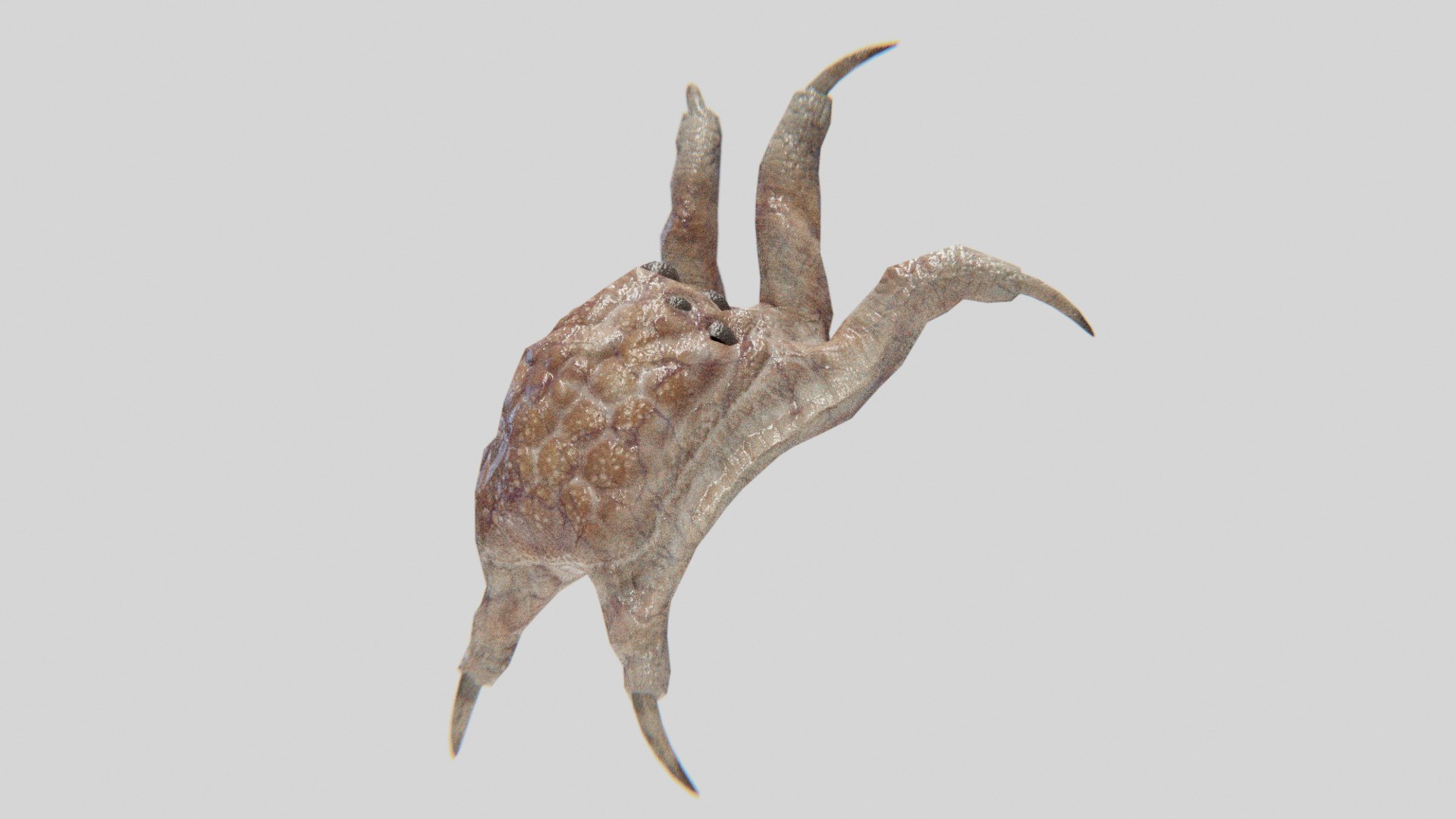 3D Creature Facehugger Headcrab Baneling - TurboSquid 1660727