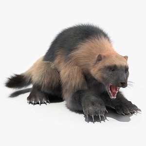 Wolverine 3D Models for Download | TurboSquid