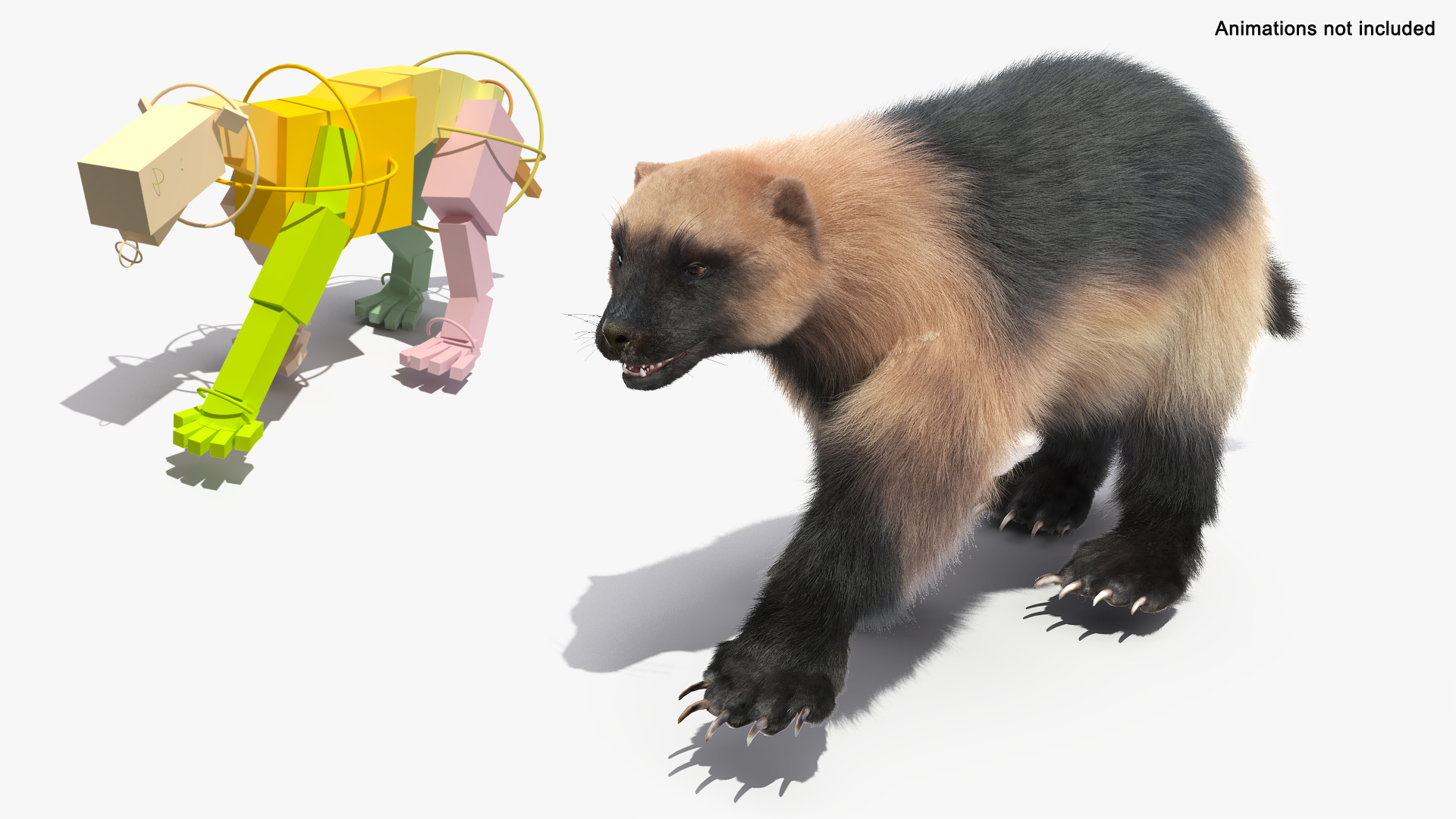 3D Model Wolverine Light Color Fur Rigged - TurboSquid 2159258