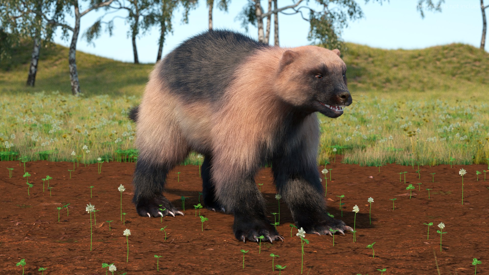 3D Model Wolverine Light Color Fur Rigged - TurboSquid 2159258