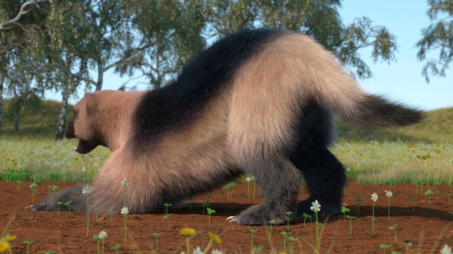 3D Model Wolverine Light Color Fur Rigged - TurboSquid 2159258