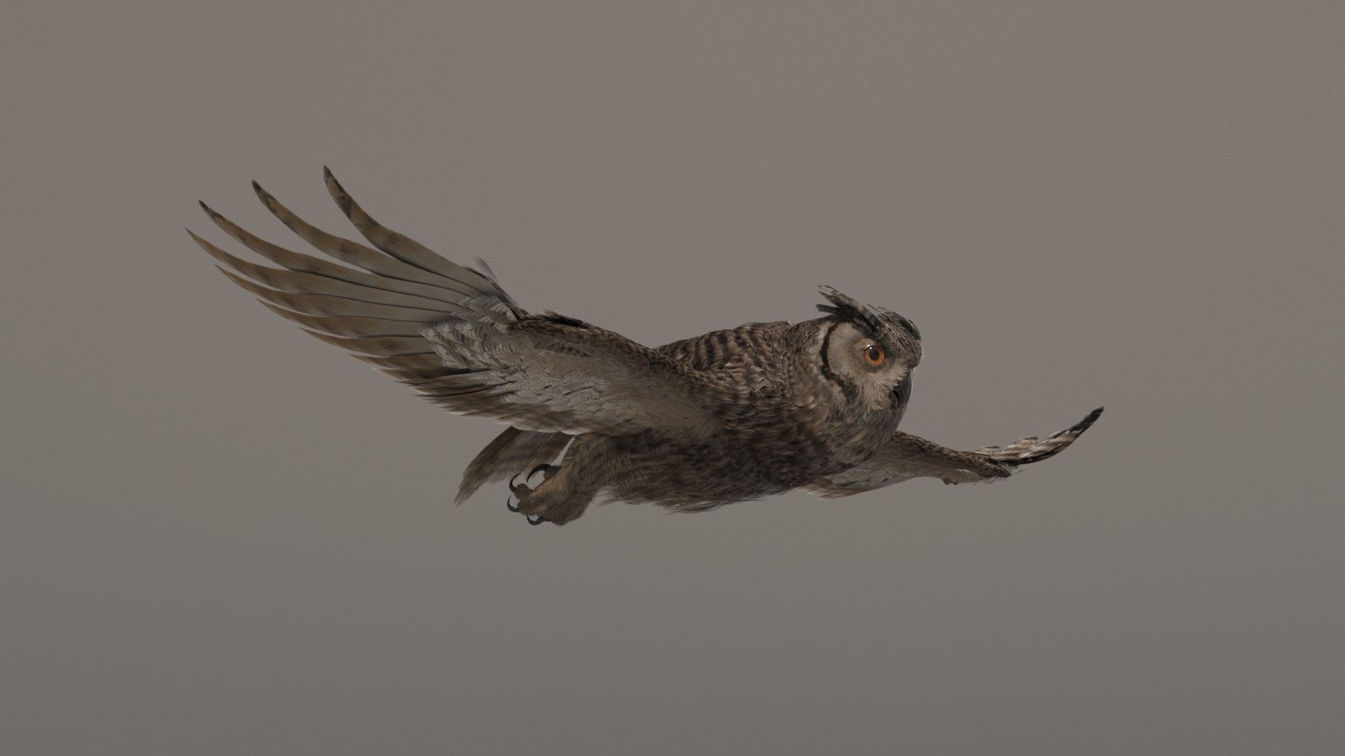 3D Birds Bundle - TurboSquid 2423540