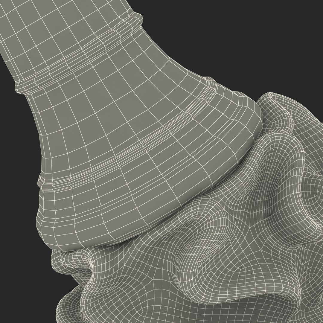 max dropped ice cream cone