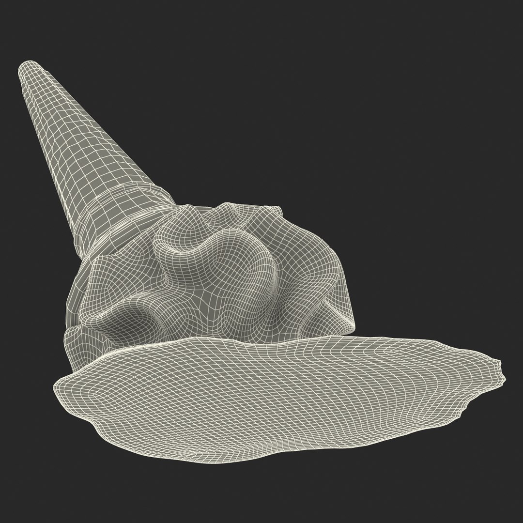 max dropped ice cream cone