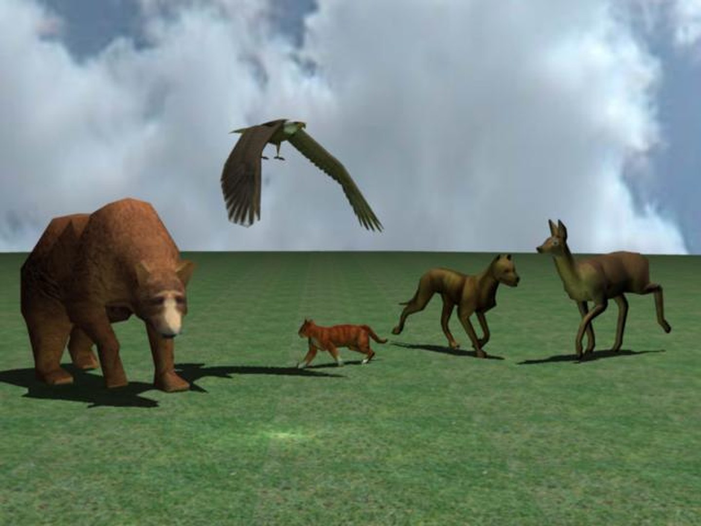 maya animals eagle cat deer