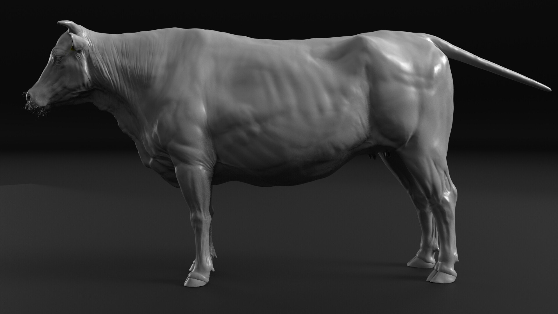Korean Native Cattle Cow 3D Model - TurboSquid 1869904