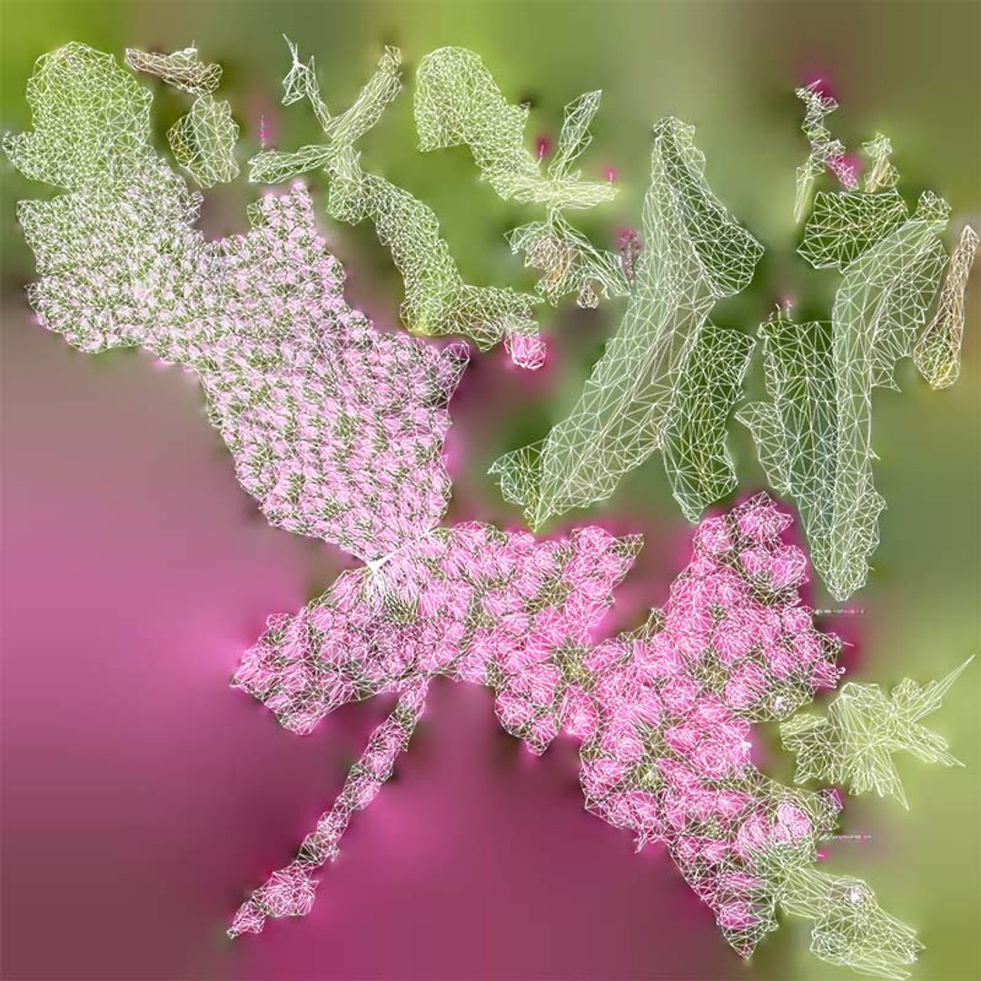 Summer Lilac Buddleja Davidii Butterfly Bush Remastered 3D Model ...