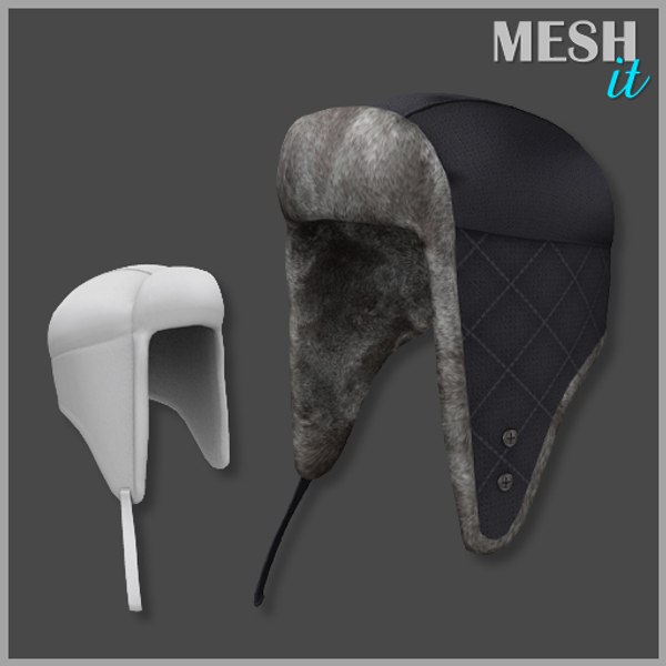 3d hat winter model