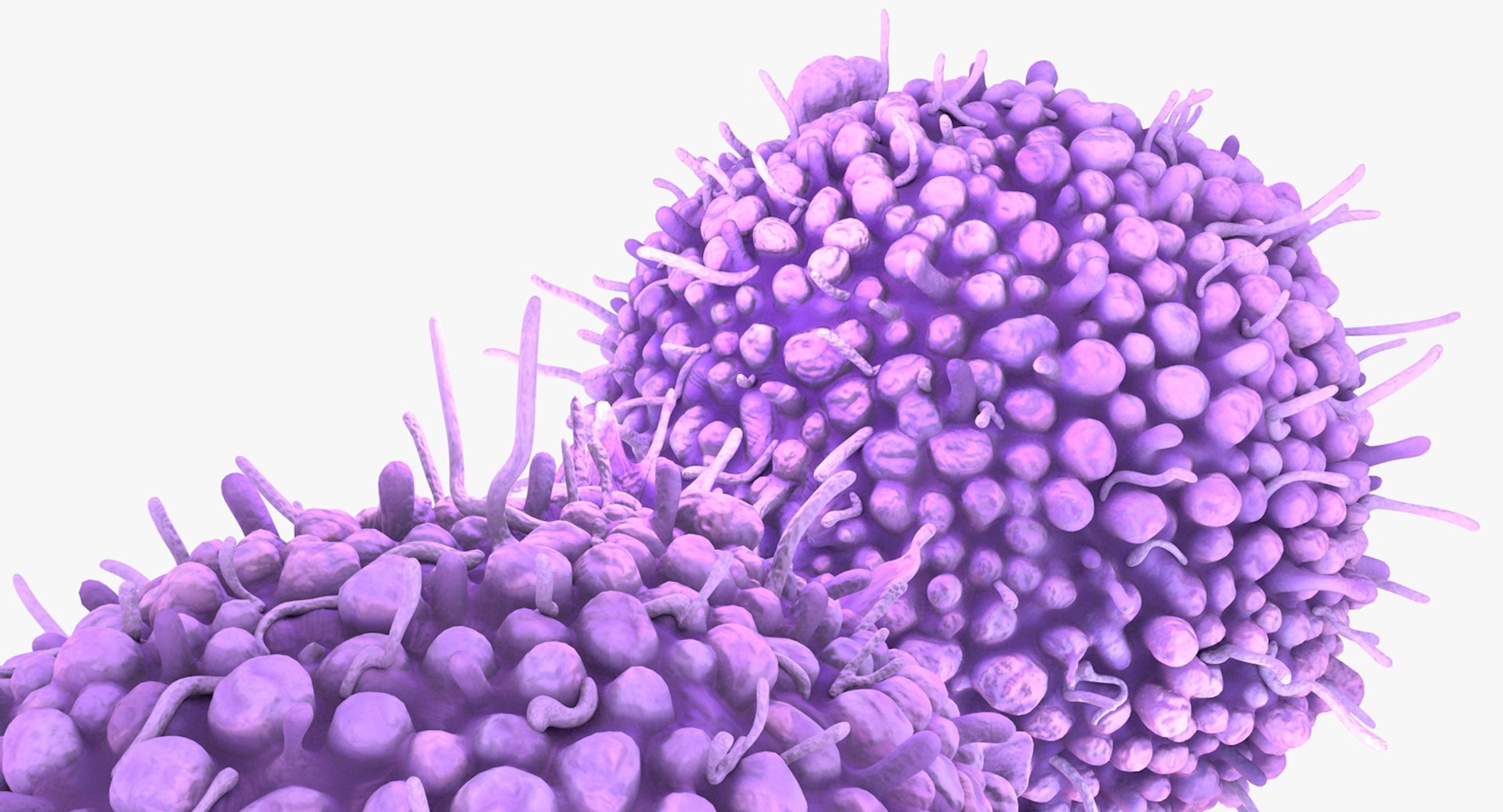 3D Cancer Cells Model - TurboSquid 1396950