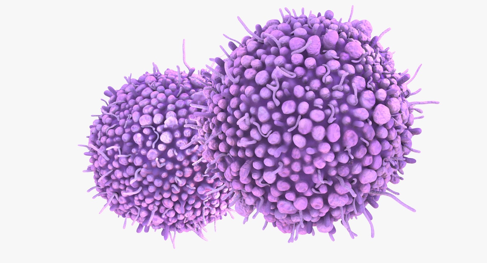 3D Cancer Cells Model - TurboSquid 1396950