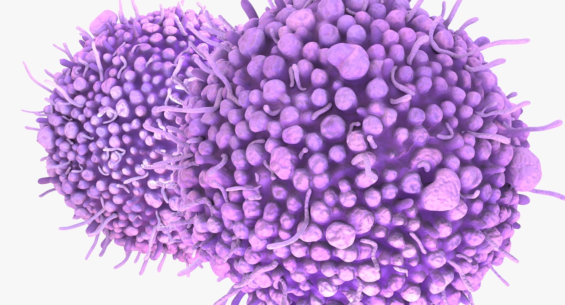 3D Cancer Cells Model - TurboSquid 1396950