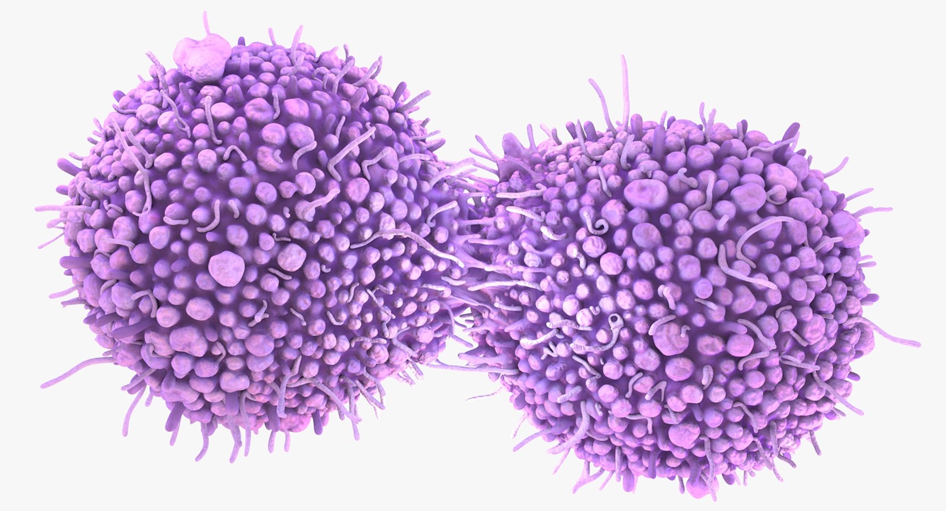 3D Cancer Cells Model - TurboSquid 1396950