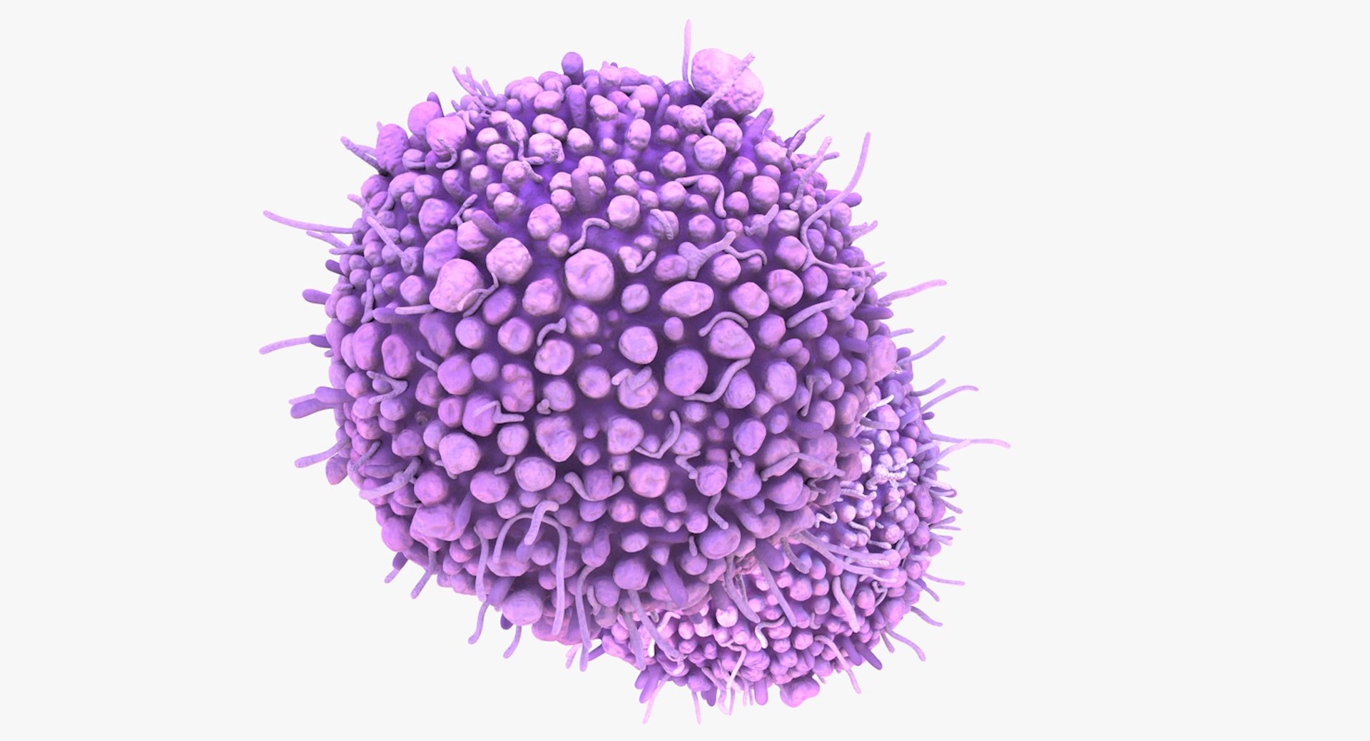3D Cancer Cells Model - TurboSquid 1396950
